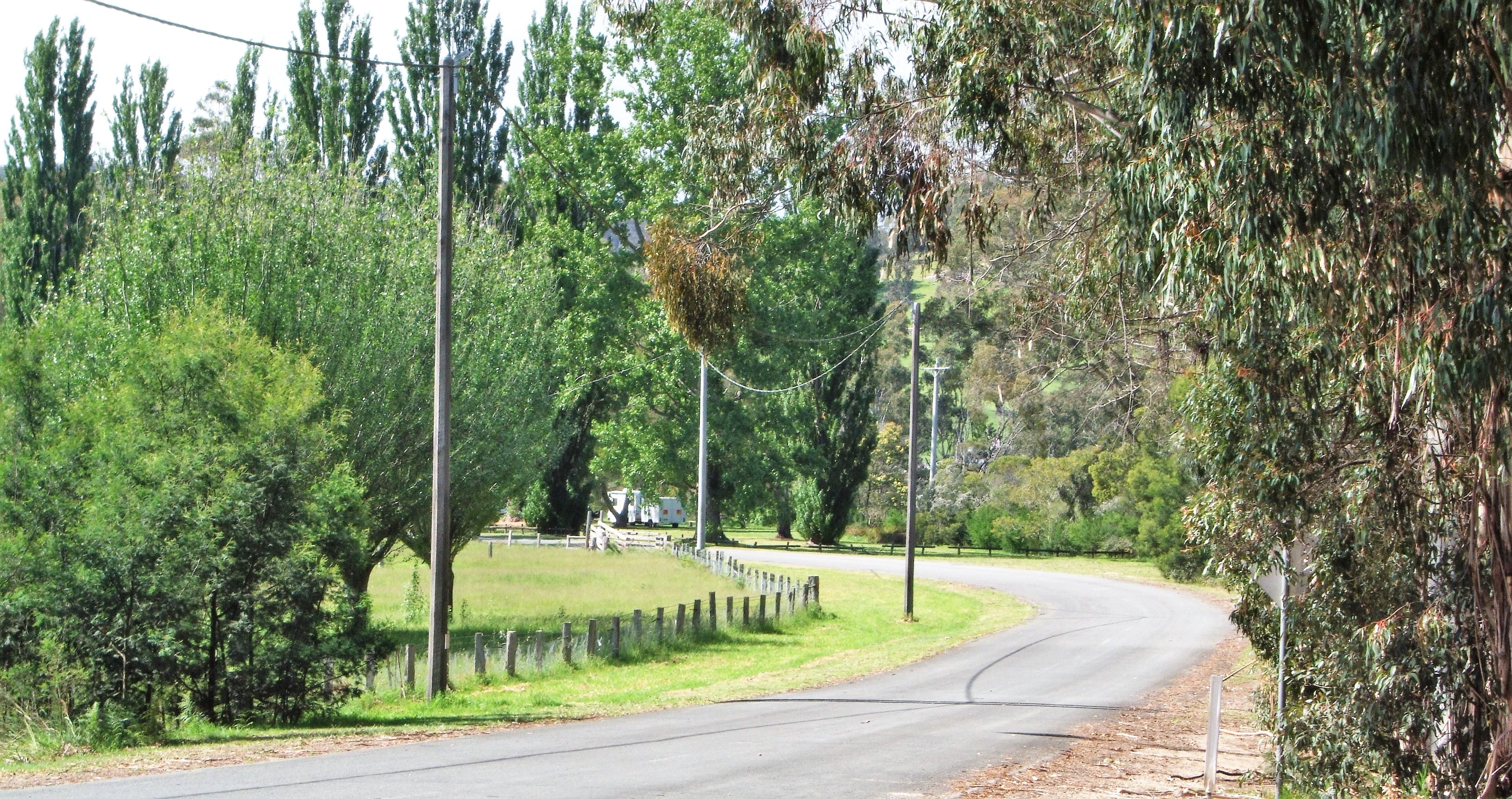 Cann River Rainforest Caravan Park | Holiday Park in Victoria | Total Parks