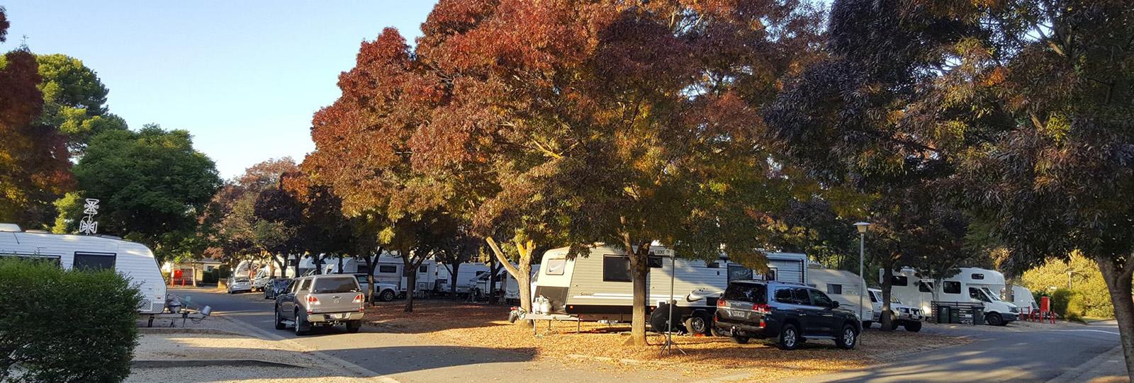 Levi Adelaide Holiday Park | Holiday Park in South Australia | Total Parks